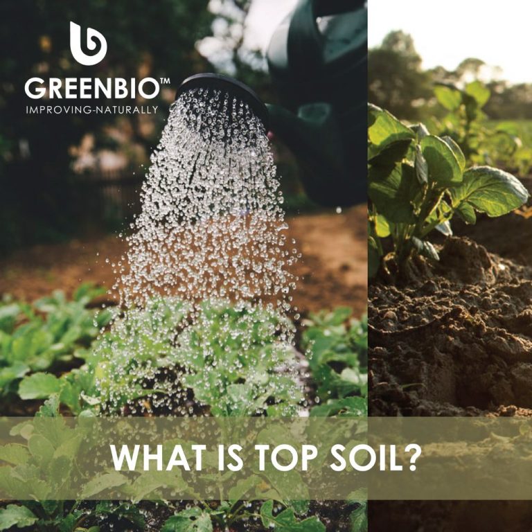 What is topsoil? - Topsoil is the uppermost layer of soil